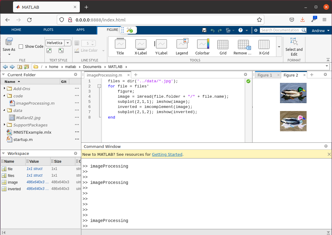 Using Matlab through Docker – Case MRI
