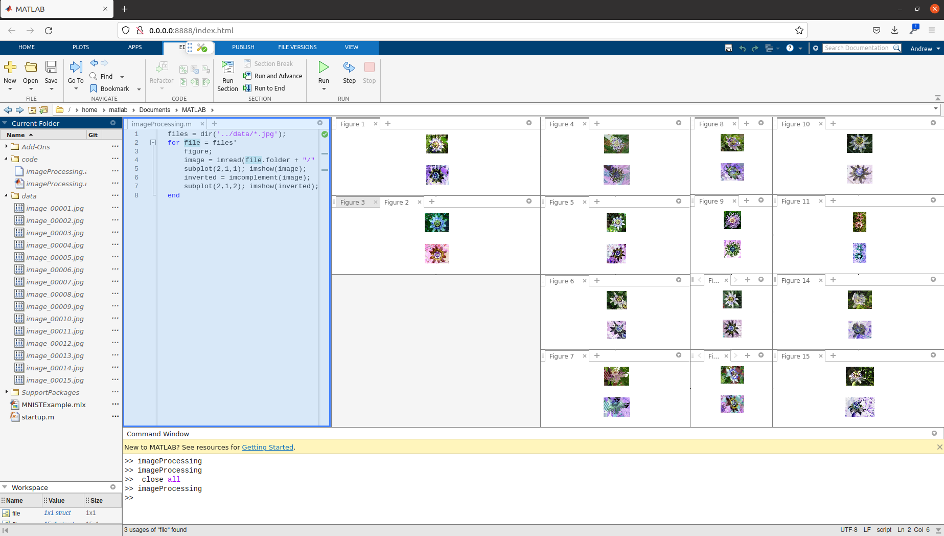 Using Matlab through Docker – Case MRI